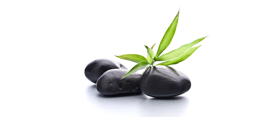 BioMimic Liquid Foundation Sunscreen-Forever Bloom-Moisturizing-Light ...